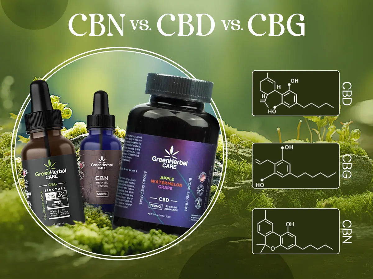 CBN Vs CBD Vs CBG Key Differences Explained CBN Vs CBD Vs CBG Key Differences Explained